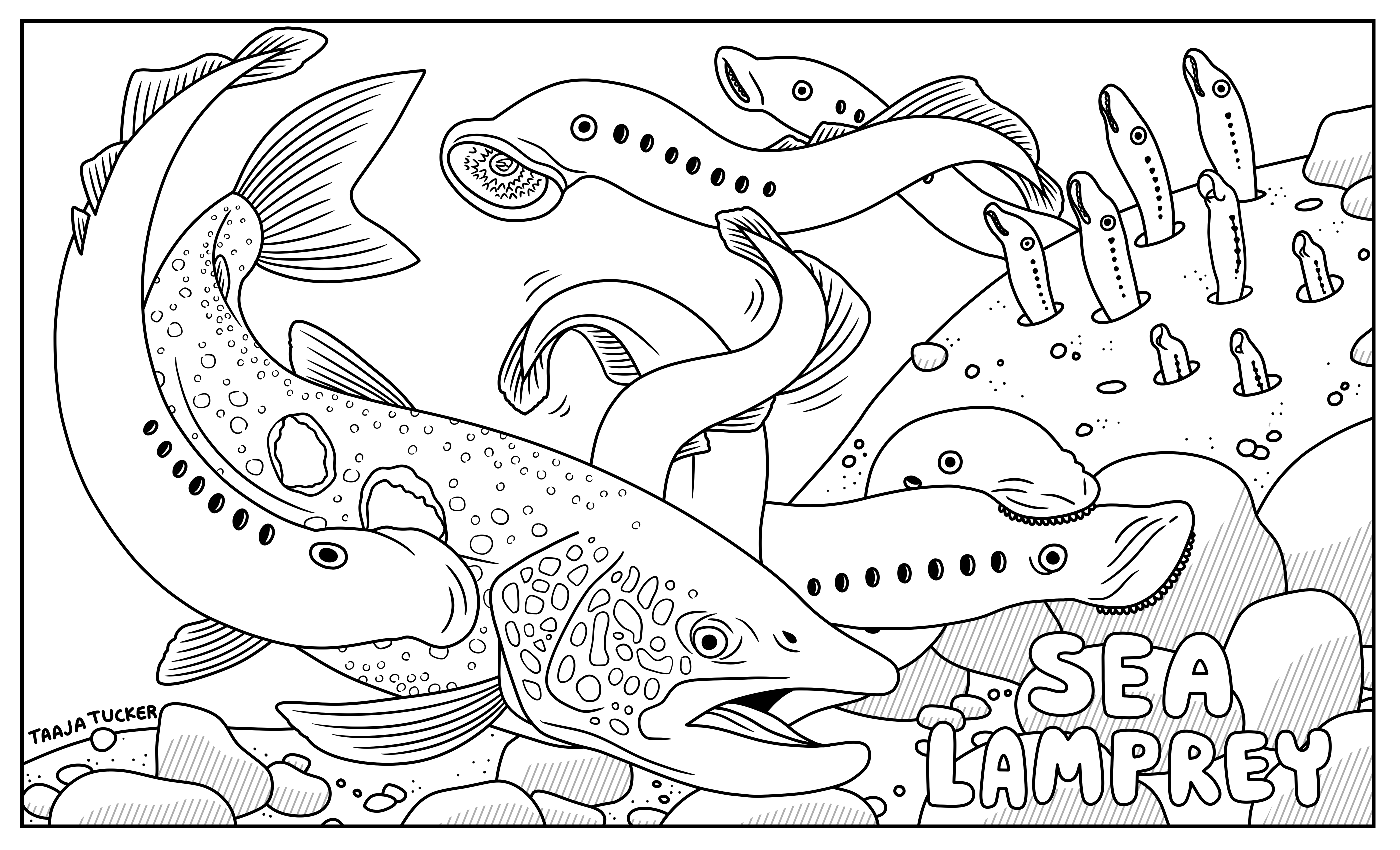 Great Lakes Fishery Commission - $title